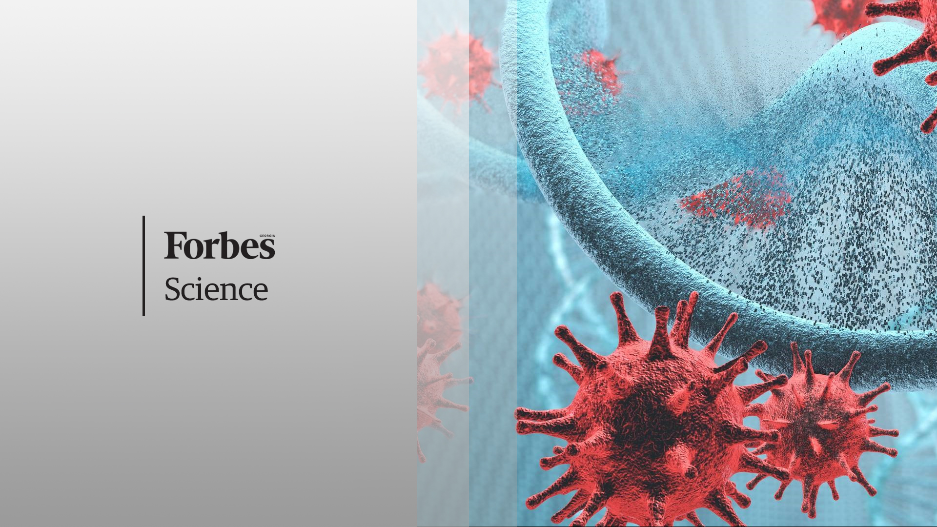 გასული კვირის მნიშვნელოვანი სიახლეები მეცნიერების სფეროდან • Forbes Georgia