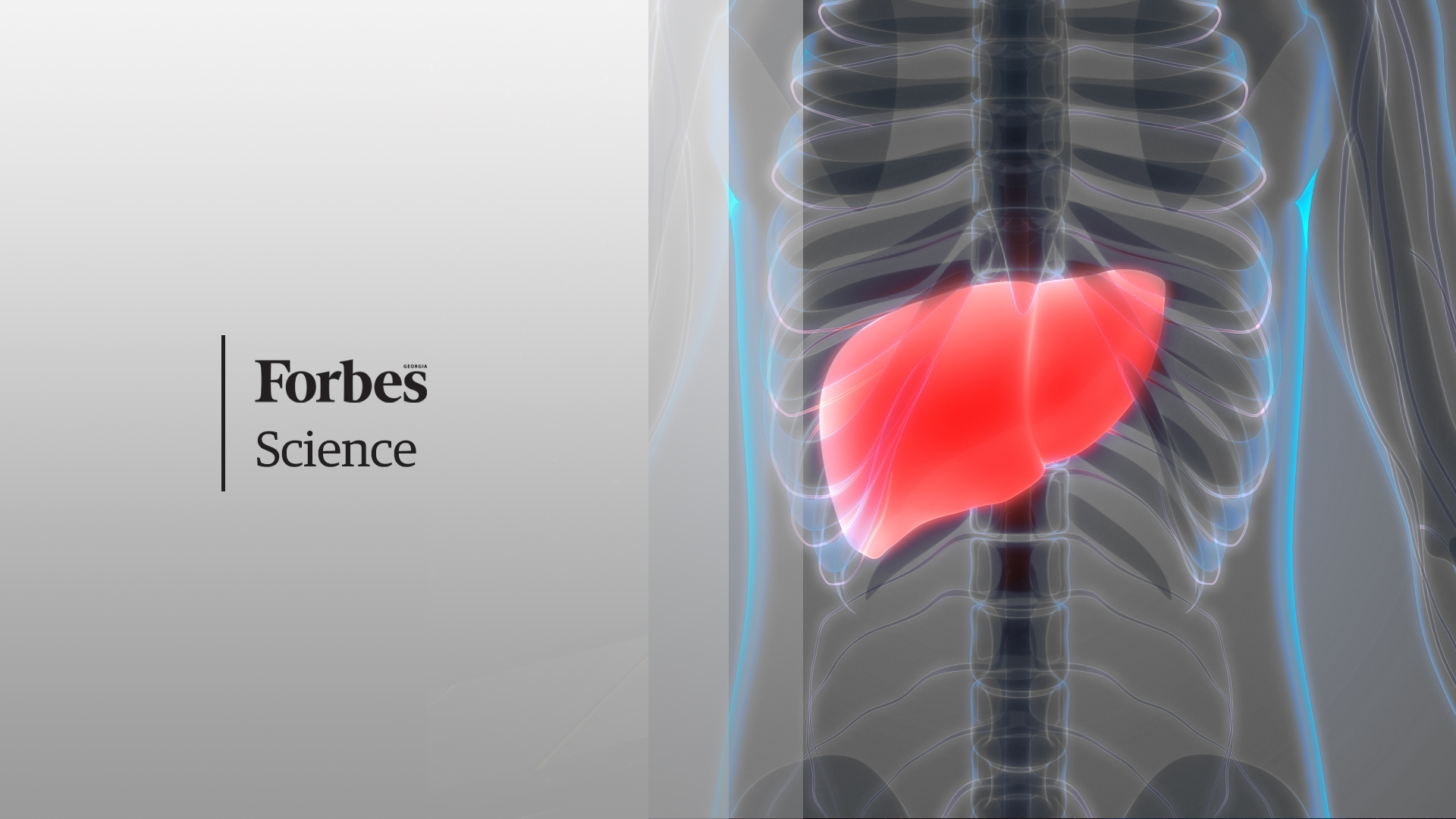 გასული კვირის მნიშვნელოვანი სიახლეები მეცნიერების სფეროდან • Forbes Georgia