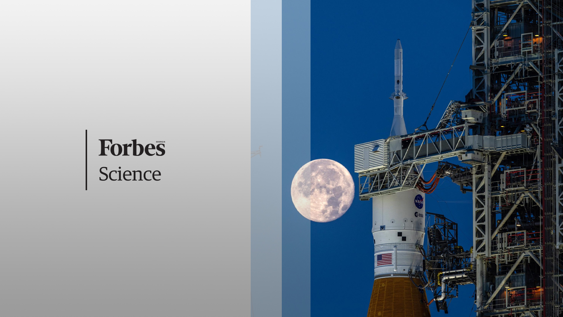 გასული კვირის მნიშვნელოვანი სიახლეები მეცნიერების სფეროდან • Forbes Georgia