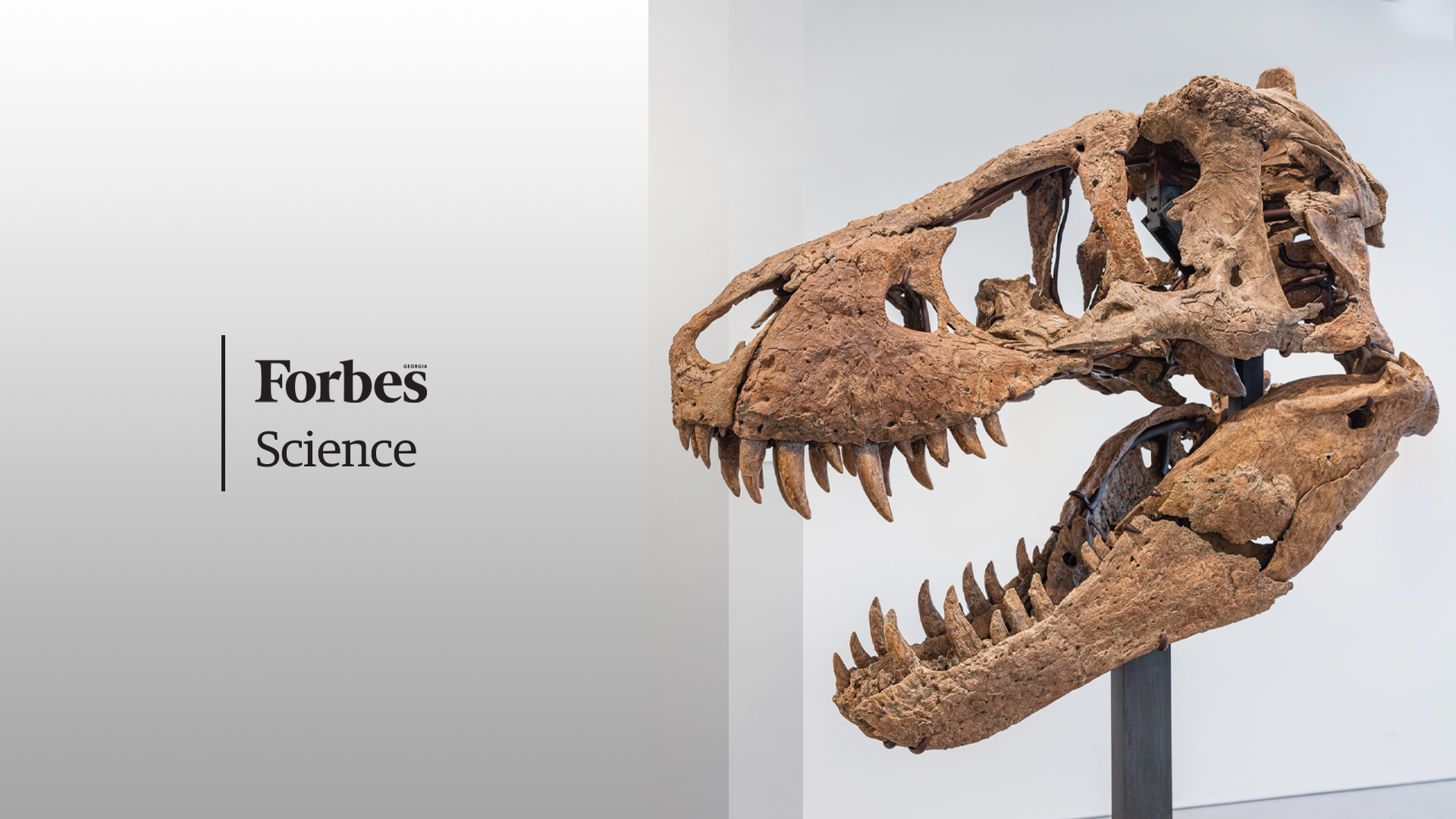 გასული კვირის მნიშვნელოვანი სიახლეები მეცნიერების სფეროდან • Forbes Georgia