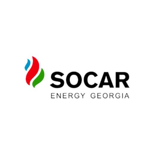 The 100 Largest Georgian Companies by Revenue • Forbes Georgia